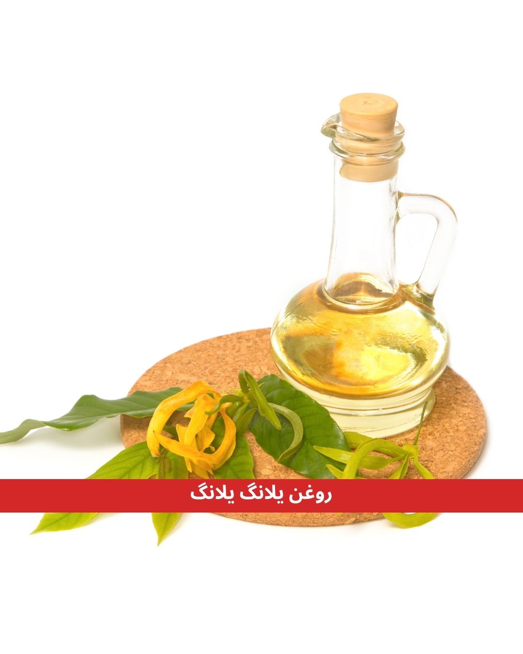 بهترین روغنها برای کنترل چربی پوست و پیشگیری از جوشزدن ایندیپندنت فارسی